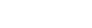 Exquisicat: Premium Cat Litter in Pine, Paper & Clay Varieties