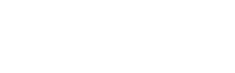 Exquisicat: Premium Cat Litter in Pine, Paper & Clay Varieties